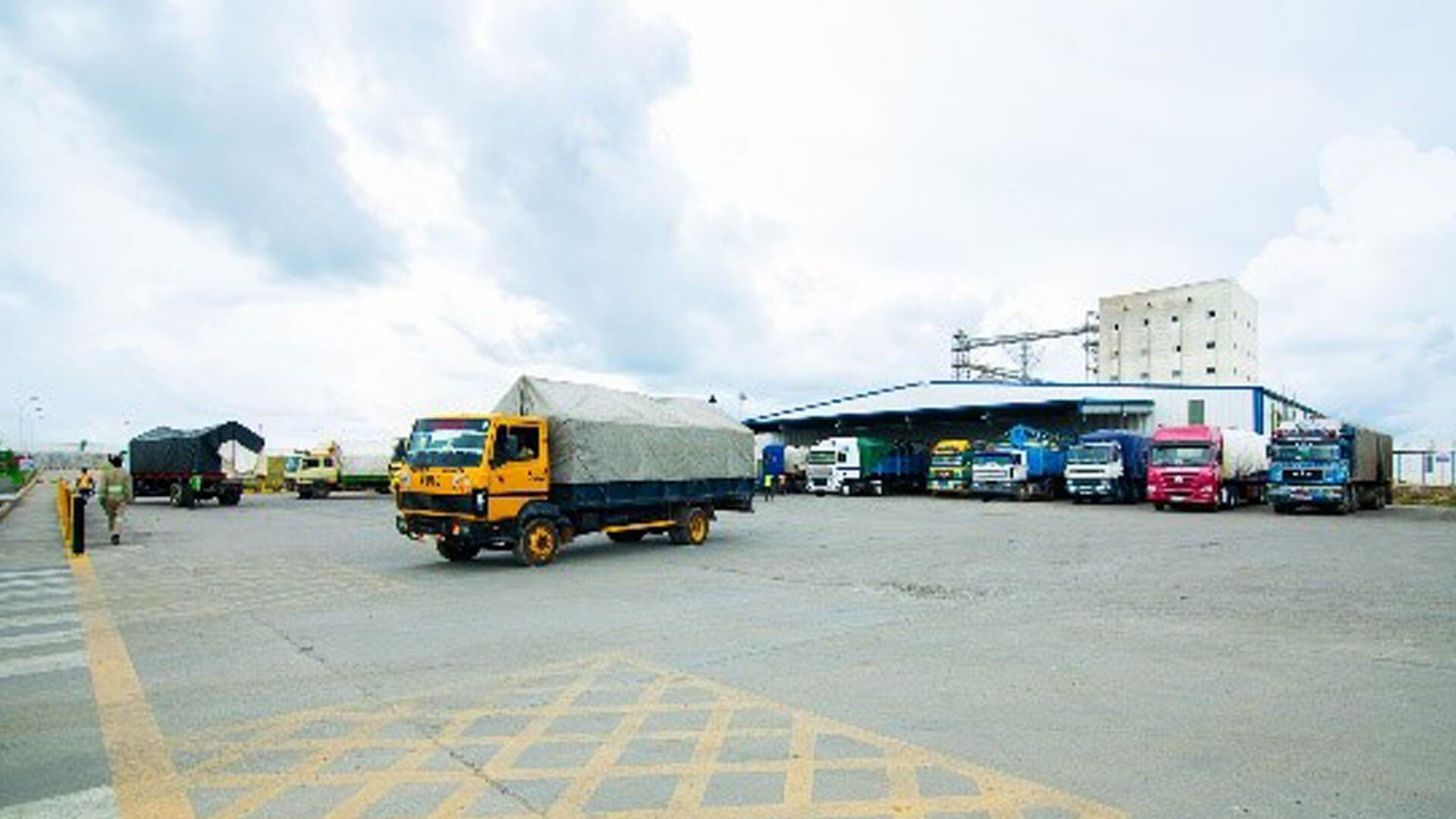 Transport Sector Survey - LINKS